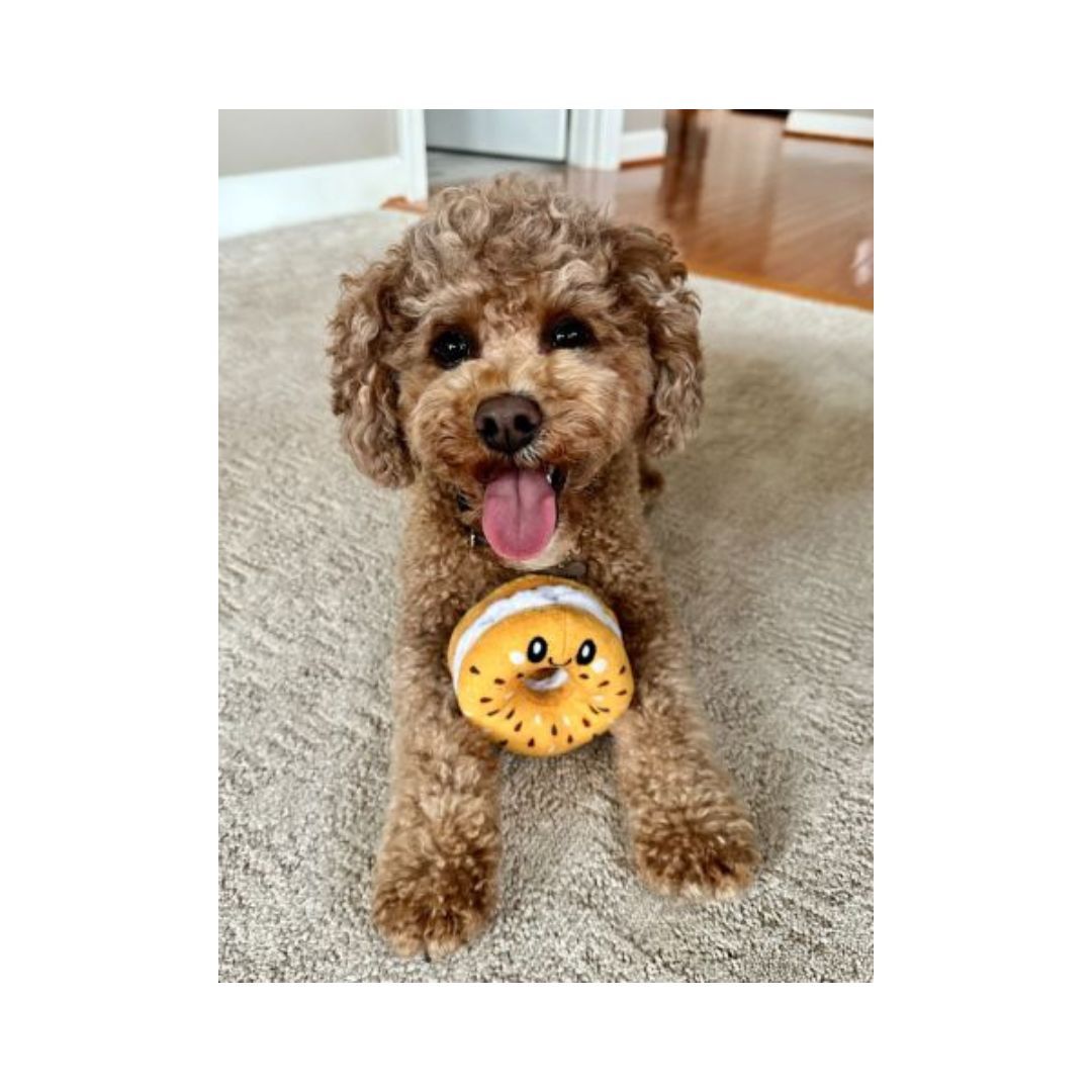 Territory Dog Plush Bagel 4 Inch – Fur Babies Plus