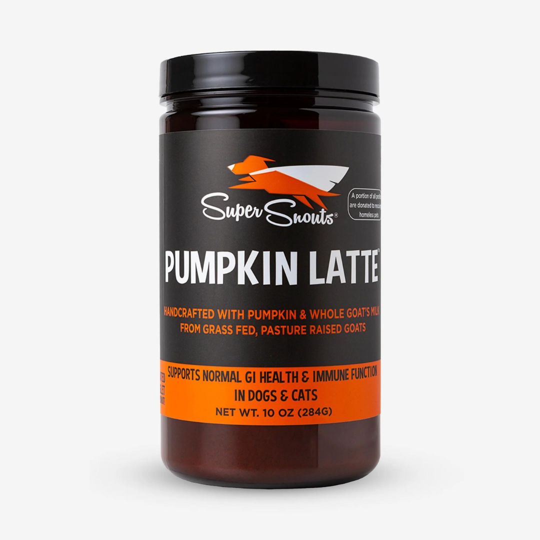 Super Snouts Dog Super Pumpkin Latte 10Oz – Fur Babies Plus